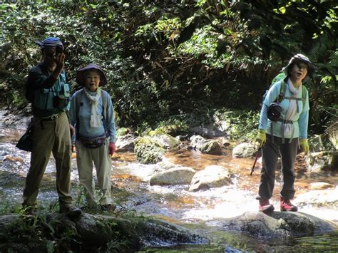 ㉕ 東郷山登山 白井シロイの滝 フルムーン日記