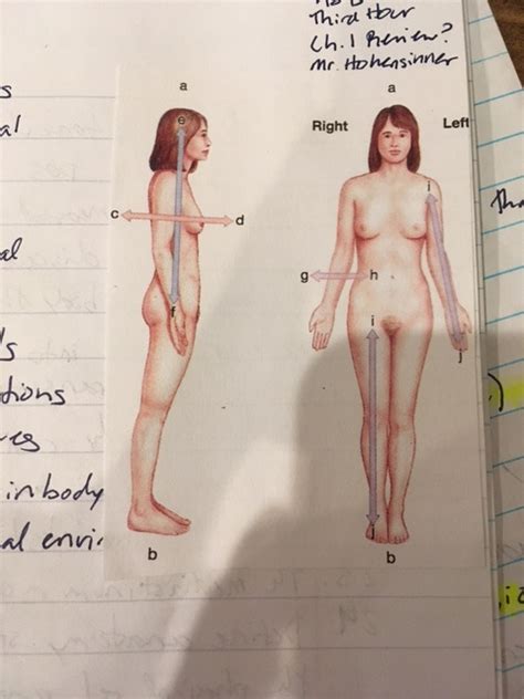 Notes Cont Chapter One Intro To A P Diagram Quizlet