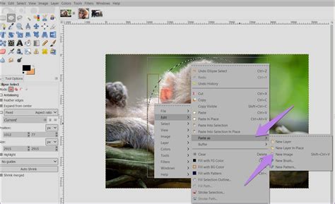 How To Crop An Image Into Circle In Gimp