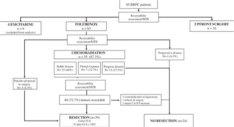 Consort Diagram Brpc Borderline Resectable Pancreatic Cancer Mtb Download Scientific