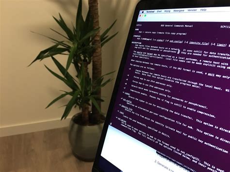 Advanced Cli Commands You Should Know As A Developer By Daan Better Programming