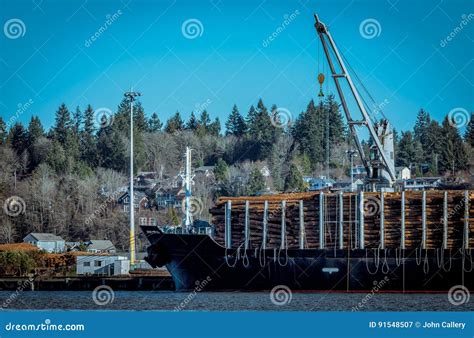 Logging Ship At Port Stock Image Image Of Ocean Port 91548507