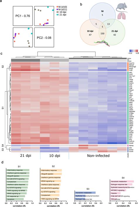 Transcriptome Of T B Brucei Infected Lung Tissue A Pca Analysis Of