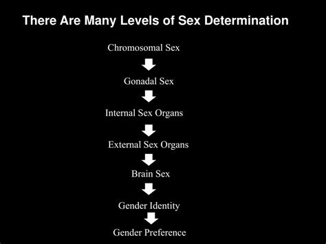 ppt chapter 18 development powerpoint presentation free download id 5456725