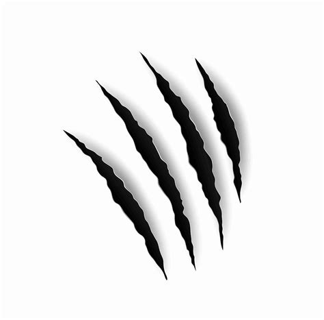 Tiger Scratch Tattoo