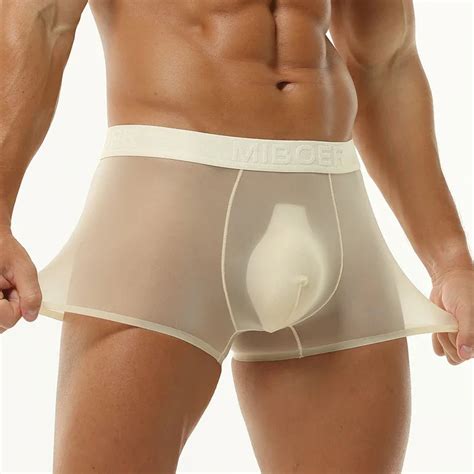 Translucent Boxer Briefs