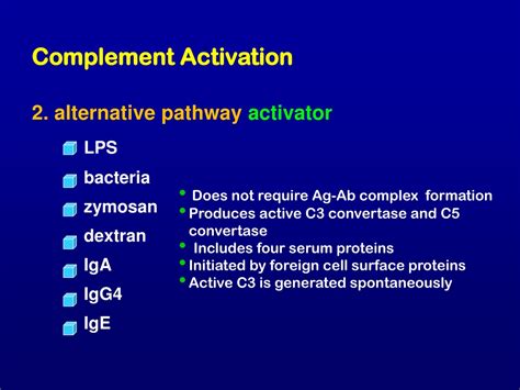 Ppt The Complement System Powerpoint Presentation Free Download Id