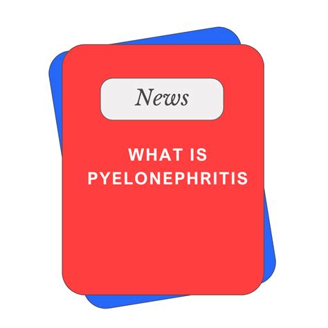 What Is Pyelonephritis Ovihams