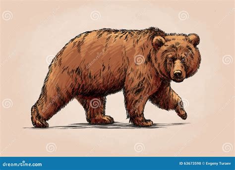 Color Engrave Isolated Grizzly Bear Stock Illustration Illustration