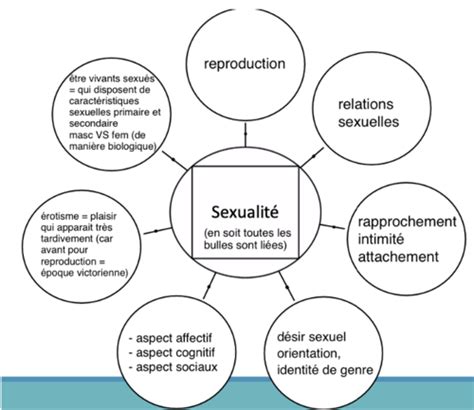 Chapitre sexualité fonction sexuelle modèles de la réponse sexuelle Flashcards Quizlet