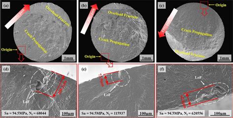 Micrographs Of Fatigue Fracture Overview Of Failed Sample With Download Scientific Diagram