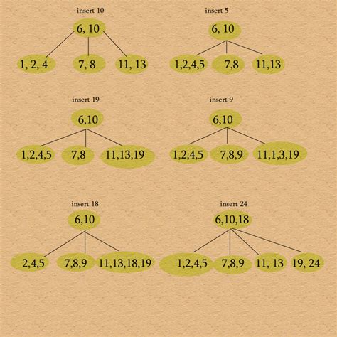 b tree example in data structure a5theory