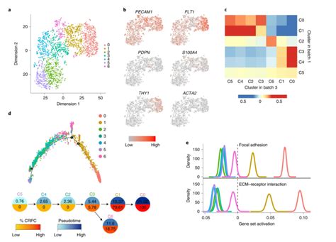 Nat Cell Biol 前列腺癌单细胞分析揭示不同类型转录谱对侵袭的影响 知乎
