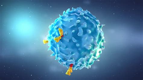 29 Receptors On Cell Surface Stock Videos Footage And 4k Video Clips