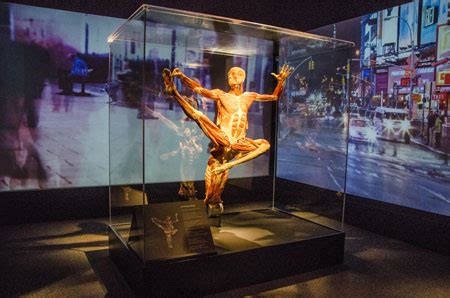 Discovery Times Square Fascinating Exhibitions In The Crossroads Of