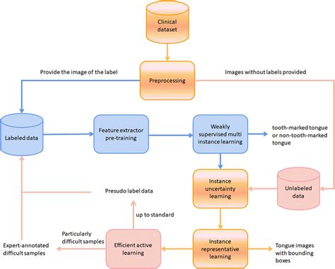 Frontiers Weakly Supervised Multiple Instance Active Learning For