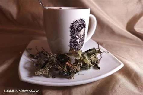 Почему лучше пить чай без сахара объяснили в Минздраве Карелии МК Карелия