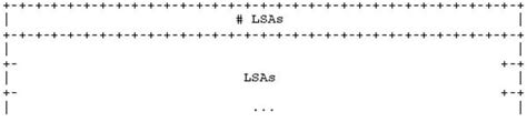 Ospf Packet Types Description And Explanation Examcollection