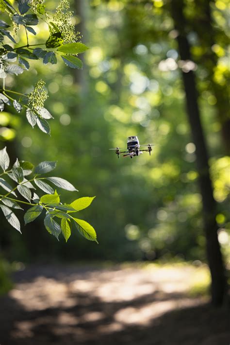 Ant Insights Lead To Robot Navigation Breakthrough Mavlab