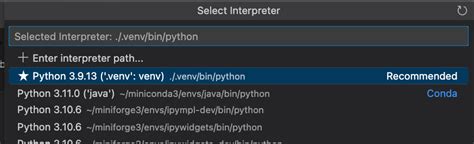Place The Recommended Interpreter Above The ` Enter Interpreter Path