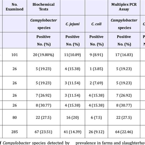 Identification Of Campylobacter Spp By Biochemical And Molecular