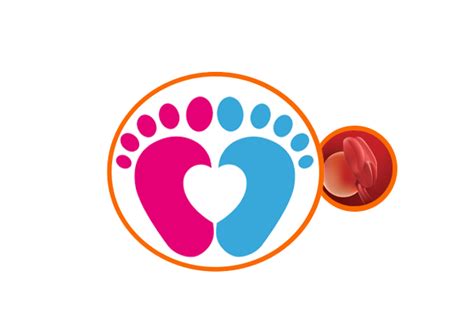 Жирэмсний 2 дах долоо хоног Ирээдүй