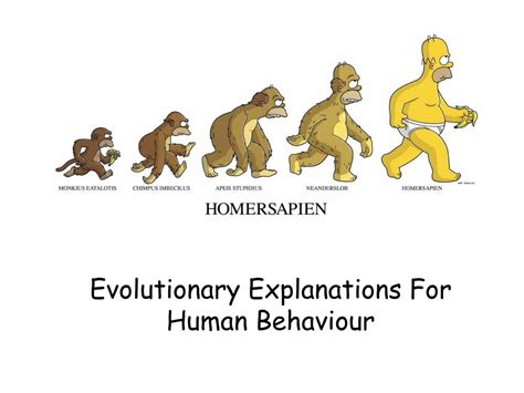 Ppt Evolutionary Insights Into Human Behavior And Sexual Selection