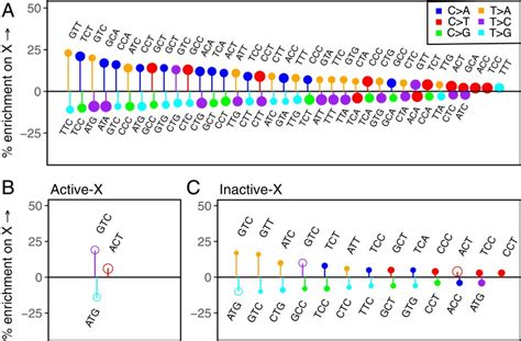 Signatures Of Replication Timing Recombination And Sex In The Spectrum Of Rare Variants On The