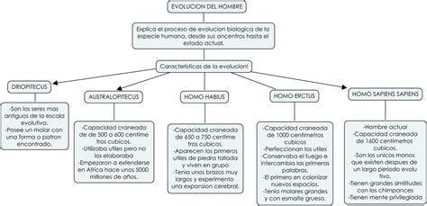 Amigos Para Siempre Mapas Conceptuales EvoluciÓn Humana