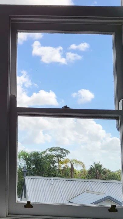 그 얼굴에 햇살을 이용복 Youtube