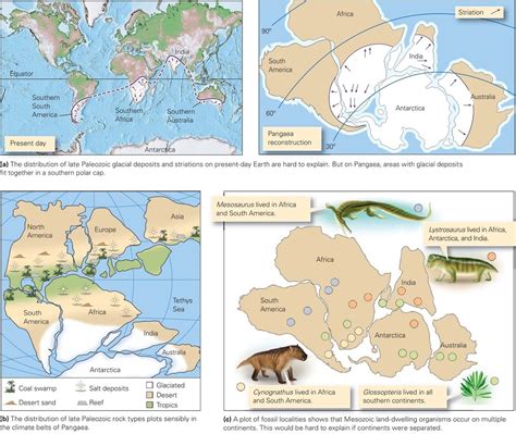 Evidences Of Continental Drift Theory Diagram Quizlet