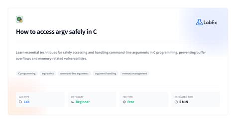 How To Access Argv Safely In C Labex