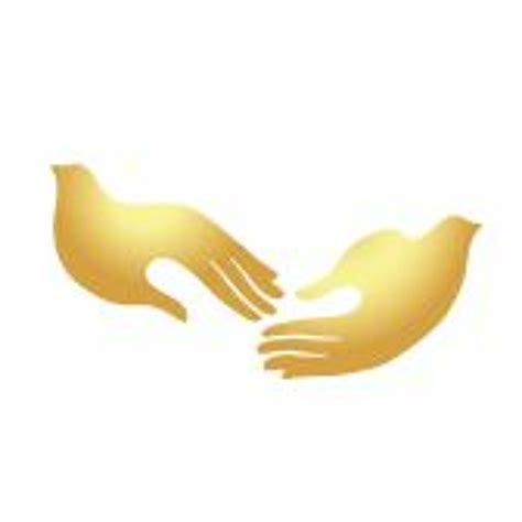 Stream A Good Tree Does Not Bear Rotten Fruit 8th Sunday In Ordinary Time 2025 By Sermon In