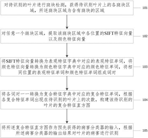 叶片病害的识别方法和系统与流程