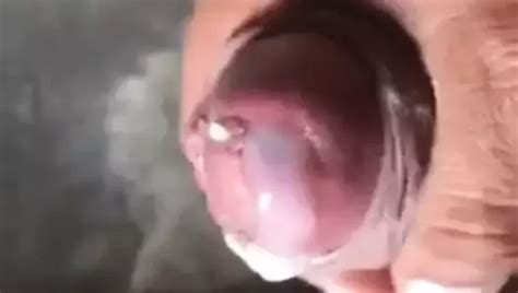 Free Indian Bodybuilder Gay Porn Videos Xhamster