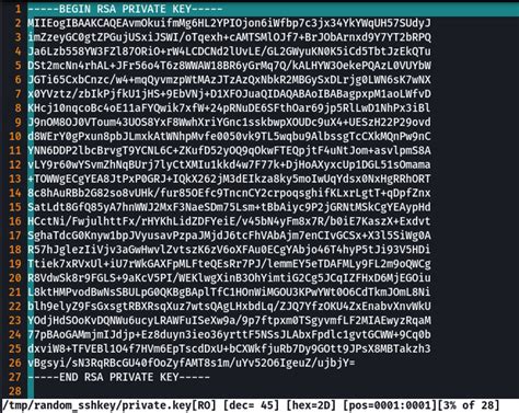 Overthewire Bandit Level 16 → Level 17 Source Code