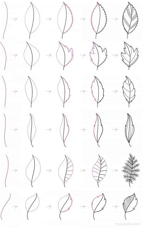 Drawing Leaves How To Draw Step By Step Doodle A Leaf In 2024 Flower Drawing Tutorials