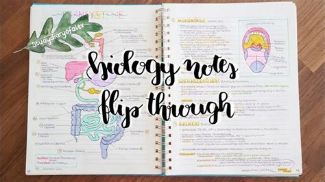 An Open Notebook With Words On It That Readsinergy Notes Flip Through