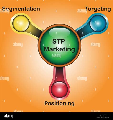 Vector Illustration Plan And Model Of Stp Marketing Diagram Means Segmentation Targeting And