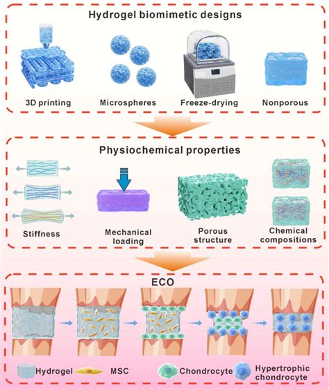 口腔医院邵龙泉团队最新研究为大尺寸骨修复材料的设计提供新思路 南方医科大学新闻中心