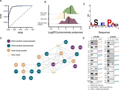 Data Driven Analysis Of Injected Inner Body Proteins A Roc Curve For