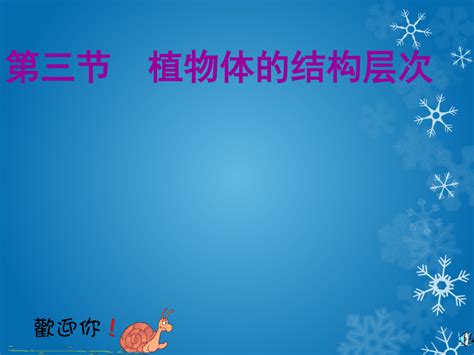 第三节 植物体的结构层次 课件（共47张ppt） 21世纪教育网