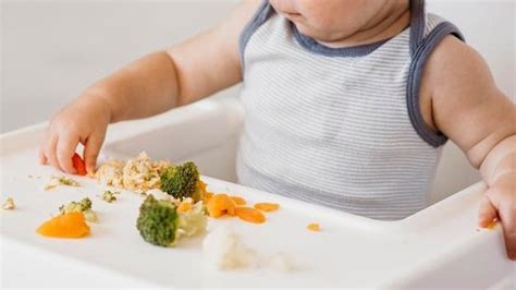 AlimentaciÓn Infantil Alimentación Complementaria Y Blw El Método Por