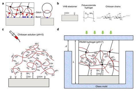 The Amazing World Of Topological Polymer Science Symb Chemtech