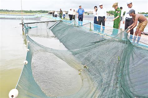 တွံတေးမွေးမြူရေးဇုန်အတွင်း ရန်ကုန်တိုင်းဒေသကြီး ဝန်ကြီးချုပ် ကွင်းဆင်းကြည့်ရှု၊ တာဝန်ရှိသူများန