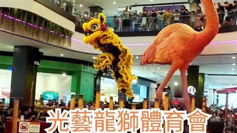 Acrobatic Lion Dance Competition 2024 高桩舞狮争霸赛 Quayside Mall 光藝龍獅體育會
