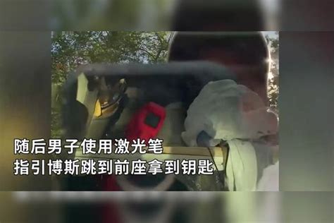 粗心主人误将钥匙锁在车里，还好车里的狗子机智钥匙主人