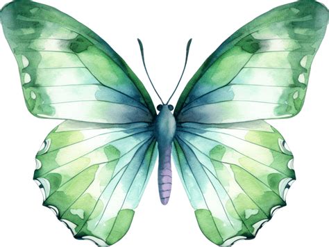 Borboleta Verde Pngs Para Download Gratuito