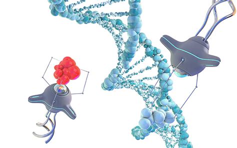 초소형 로봇의 새 미션 인체 속 약물 전달부터 신경망 연결까지 조이스틱 게임하듯 마이크로 로봇이 뇌·심장 질환 치료하는 세상 온다