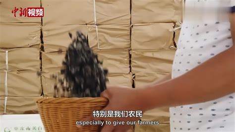带货达人习近平 凤凰网视频 凤凰网